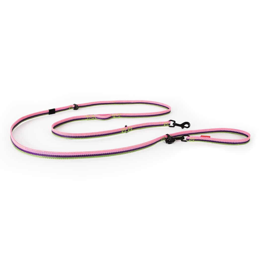 Vario 6 Lite Dog Leash - EzyDog South Africa
