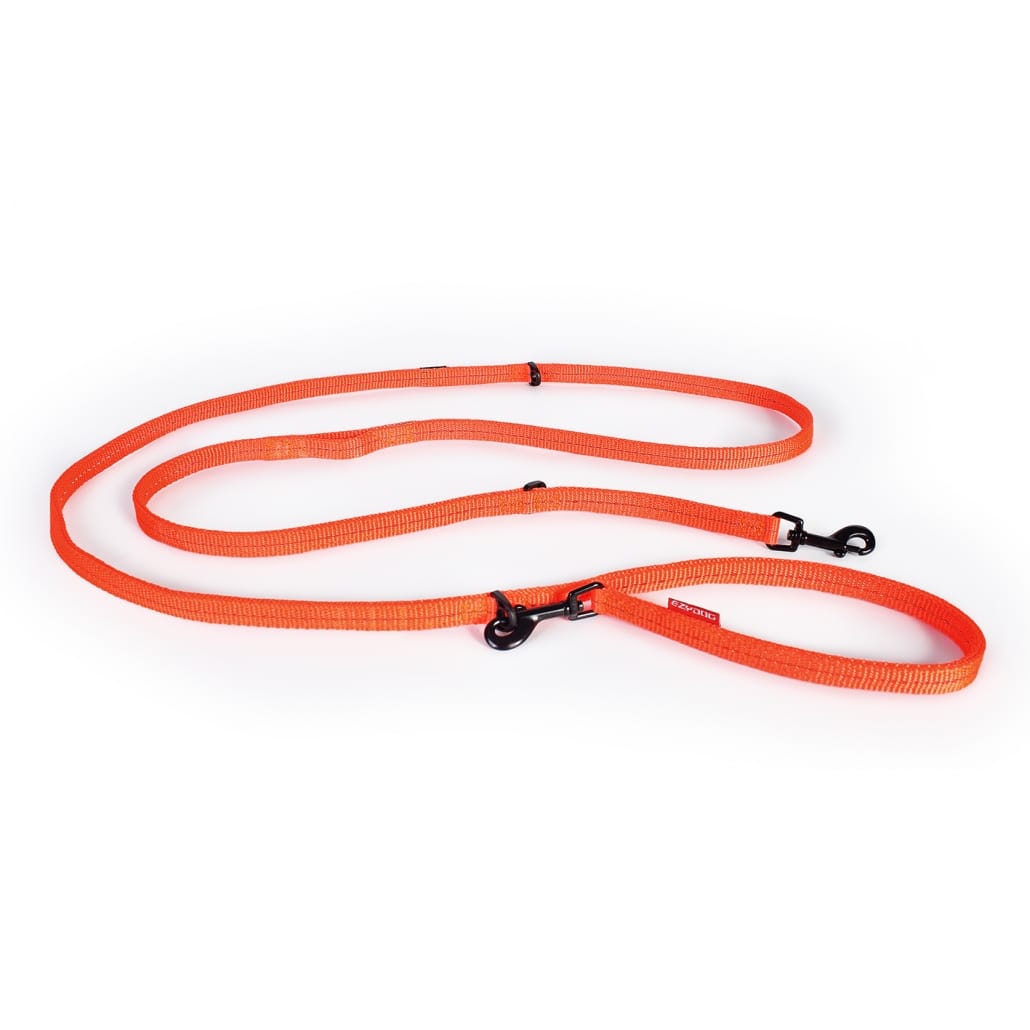 Vario 6 Lite Dog Leash - EzyDog South Africa